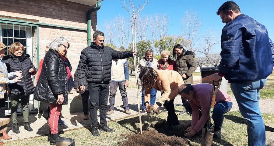 DÍA DEL ÁRBOL – Se plantó un crespón blanco en el “Chalecito” | FM 90.5 ...